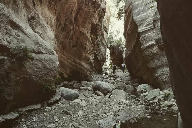 Jeep Safari to Akamas National Park: Avakas Gorge Tour From Paphos - Visiting Lara Bay Turtle Conservation Station
