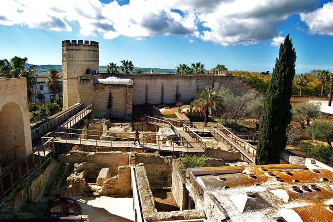 Jerez Walking Tour With Alcazar and Cathedral Entrance - Meeting and Departure Information