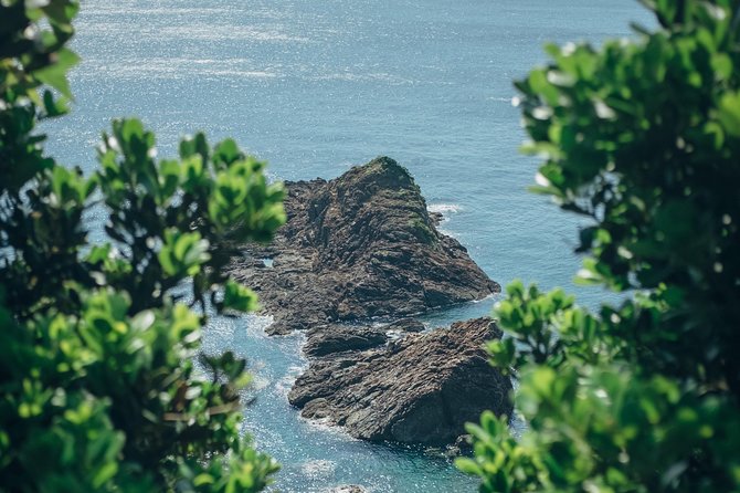 Kagoshima Private Customizable Half Day Tour - Transportation and Pickup