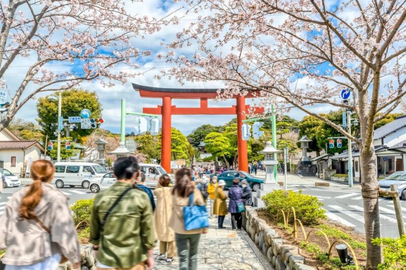 Kamakura: Greedy Gourmet and Temple Tour - Cultural Experience
