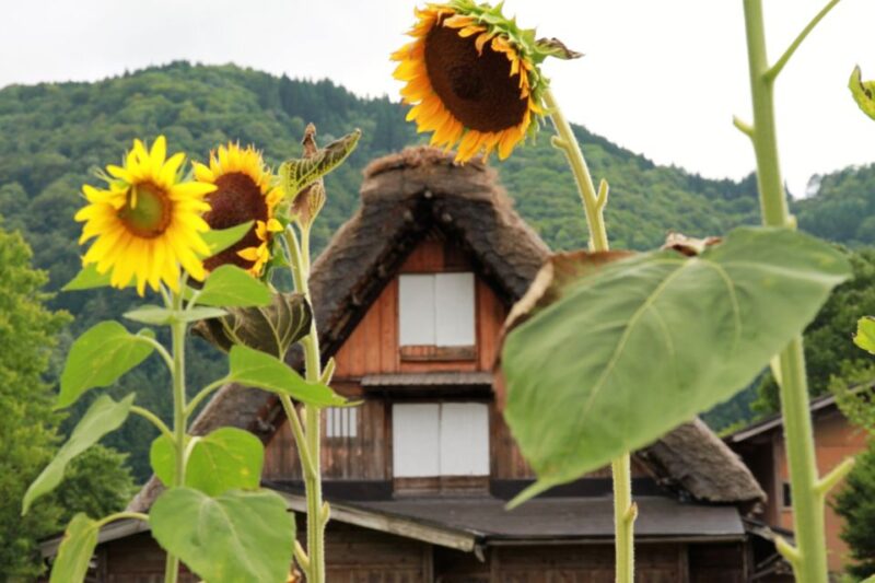 Kanazawa to Shirakawago: Half-Day Tour - Transportation Details