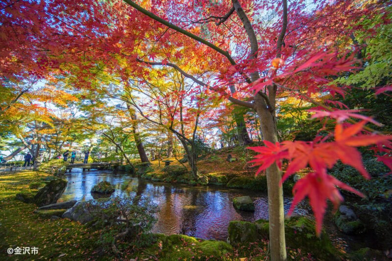 Kanazawa: World Heritage Shirakawa-go & Two Local Experience - Tour Guidance and Transportation