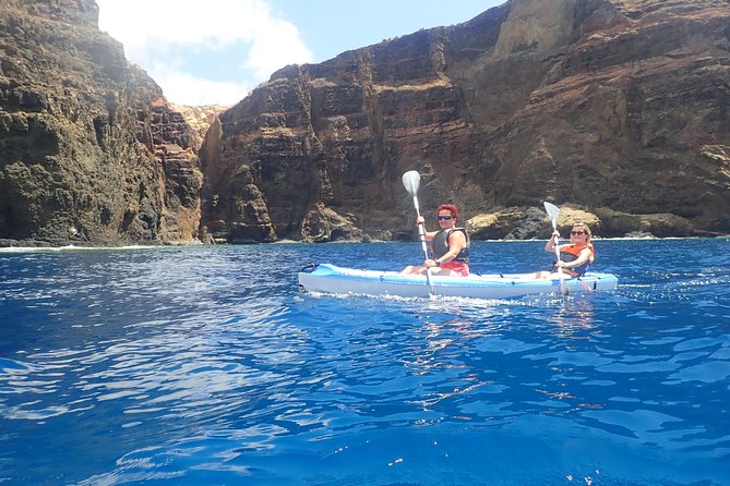 Kayak Tours - Observing Local Flora and Fauna