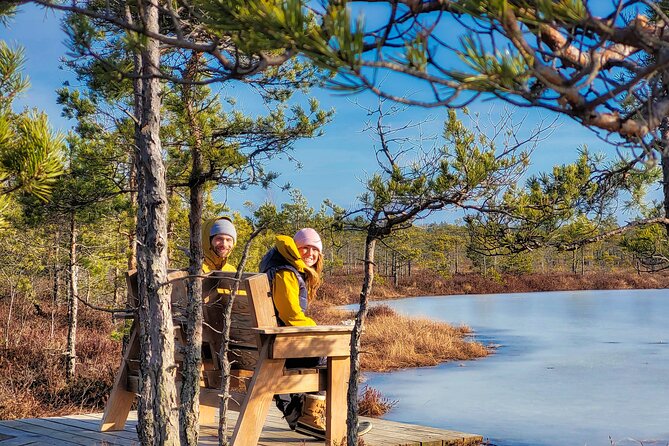 Ķemeri Great Bog Discovery With Optional Sunrise & Jūrmala Visit - Exploring the Forests Surrounding the Ķemeri Great Bog