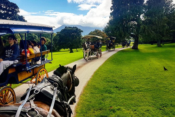 Killarney Jaunting Car & Lily of Killarney Watercoach Tour - Accessibility and Participation Guidelines