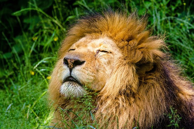 Krakow: Zoo With Hotel Transfer - Booking Details