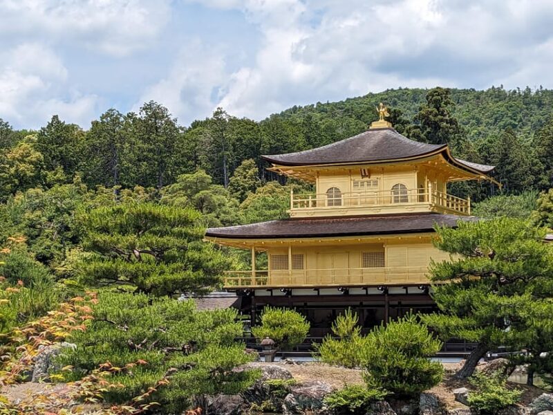 Kyoto: 100% Private Custom Tour (4/8 Hrs) - Tour Experience