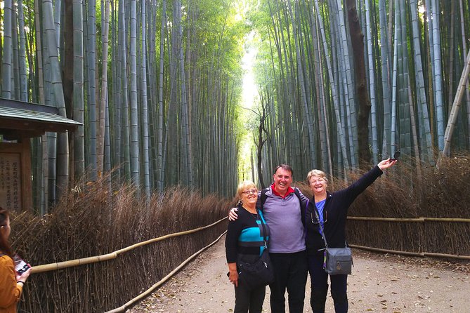 Kyoto Arashiyama & Golden Pavilion One-Day Walking Tour - Meeting and Accessibility