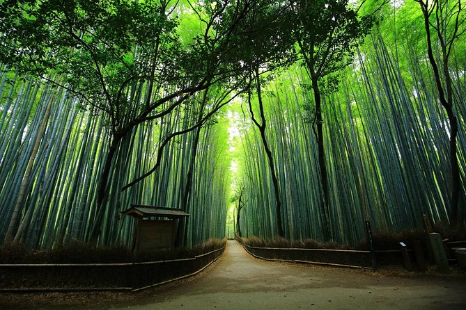 Kyoto Arashiyama & Sagano Bamboo Private Tour With Government-Licensed Guide - Accessibility and Special Features