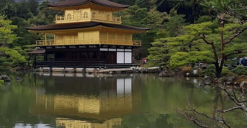 Kyoto: Customized One Day Car Tour - Transportation and Amenities