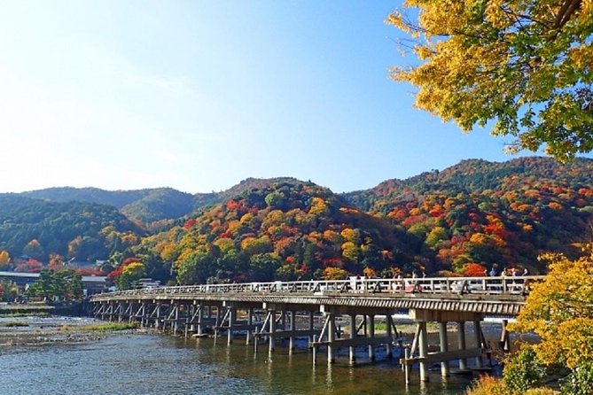 Kyoto Full-Day Private Tour by Public Transportation - Customer Experience