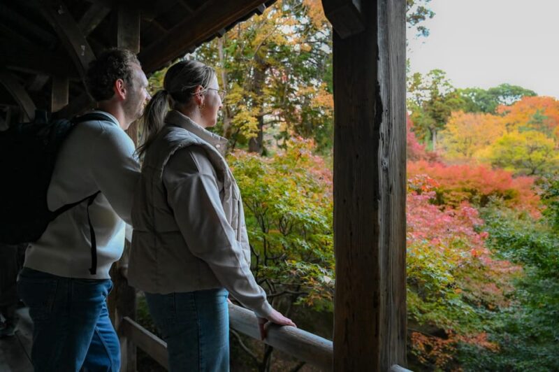 Kyoto: Half-Day Guided Bike Tour With Fushimi Inari - Toji Temple