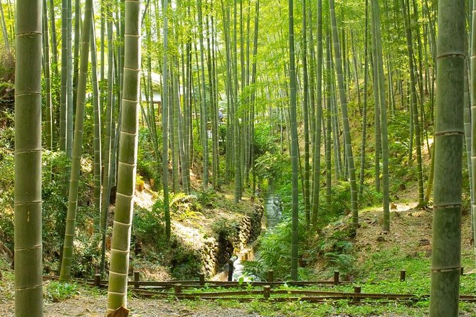 Kyoto : Immersive Arashiyama and Fushimi Inari by Private Vehicle - Ascending the Magical Fushimi Inari Shrine