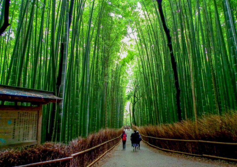 Kyoto: Japanese Gardens Private Customizable Tour - Highlights and Experience