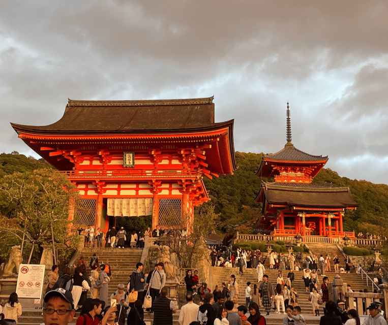 Kyoto & Nara Private Customized, Guided Tour - Customer Feedback