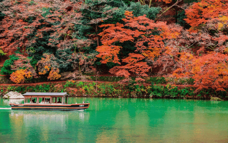 Kyoto/Osaka: Kyoto and Nara Customizable Guided Day Trip - Kyoto-Nara Excursion