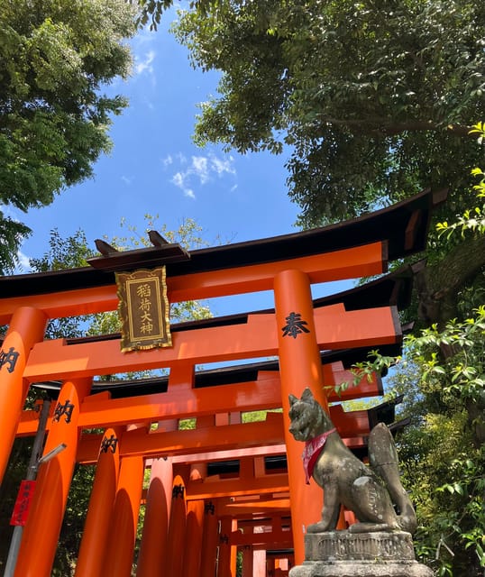 Kyoto: Private Car Tour - Fushimi Inari & Bamboo Grove - Highlights