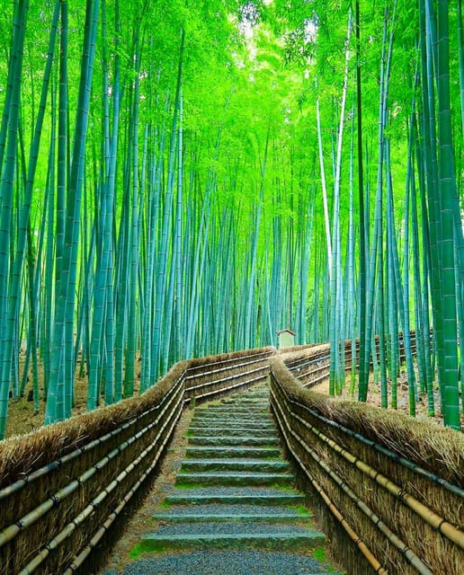 Kyoto: Private Full-Day Tour by Car - Itinerary Highlights