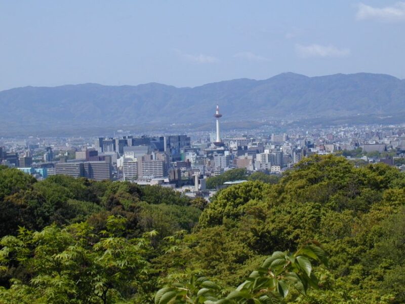 Kyoto: Private Tour With Local Licensed Guide - Guide and Experience Quality
