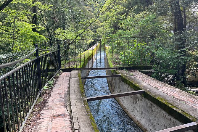 Kyoto Silver Pavilion Private 4-Hour Guided Tour - Inclusions and Fees
