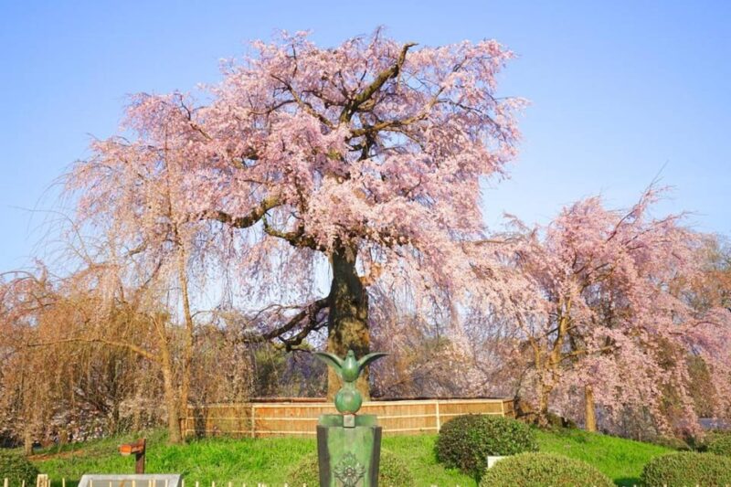 Kyoto Unveiled A Tale of Heritage, Beauty & Spirituality - Discovering the Historical Significance of Yasaka Pagoda
