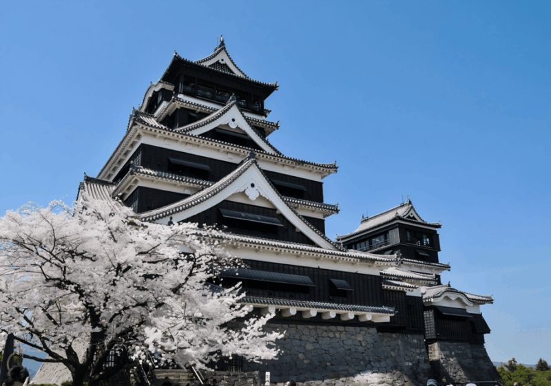 Kyushu 9-Hour Chartered Day Trip｜ Kumamoto - Kumamoto Highlights
