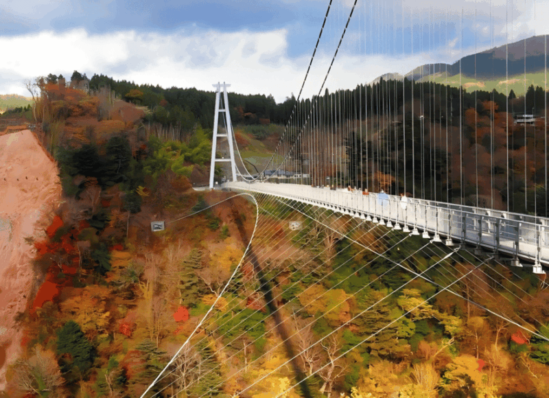 Kyushu 9-Hour Chartered Day Trip｜ Oita - Booking and Itinerary Details