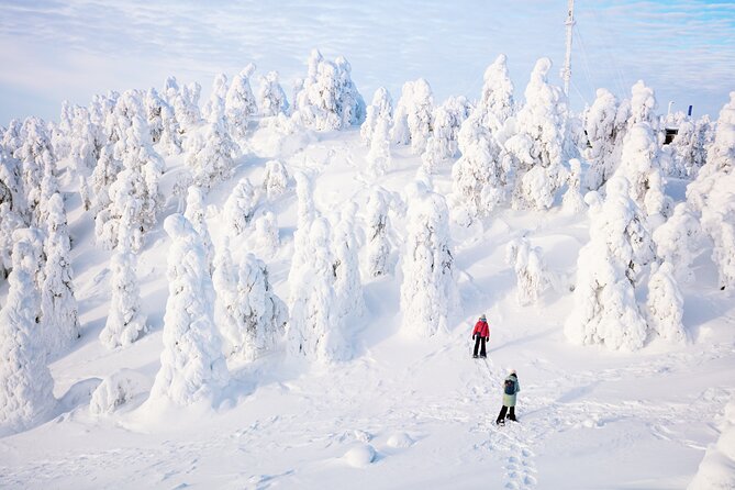 Lapland Winter Experience - Tour Requirements and Conditions