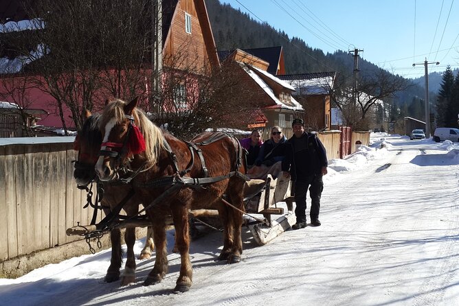 Libearty Brown Bear Sanctuary, Rasnov Fortress, Bran Castle Day Tour From Brasov - Bran Castle