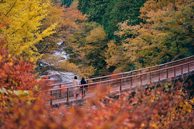 Little Adventure With Cycling in Tokyo No. 1 Crystal Clear River - Reviews and Feedback