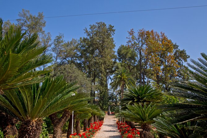 Live an Experience Among Orange Trees in Huerto Ribera - Transportation and Pickup