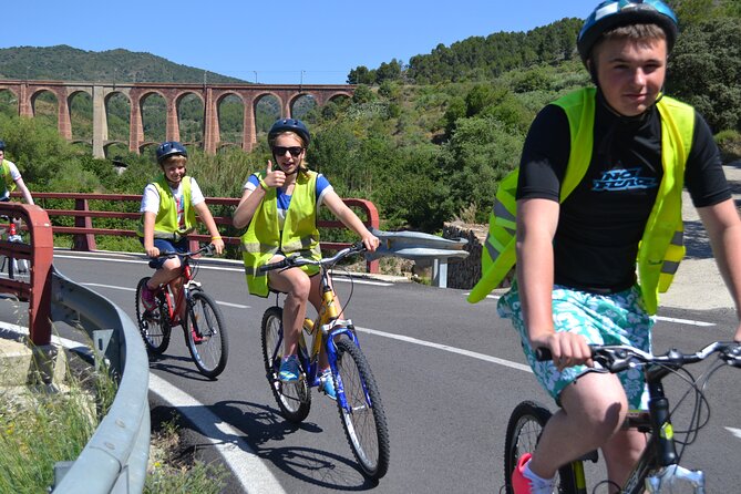 LOCAL FLAVORS! Half-Day Bike Tour With Olive Oil Tasting - Essential Details: Price and Group Size