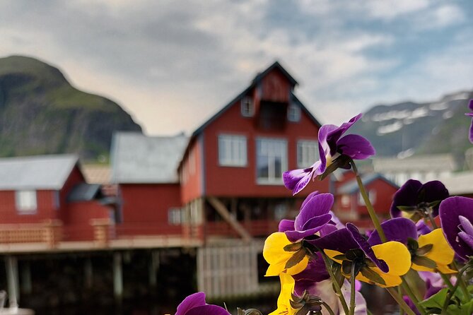 Lofoten VIP PRIVATE Tour From Leknes City / Port - Pickup and Meeting Details