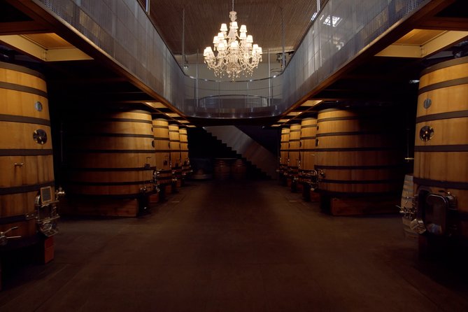 Luxurious Full Day Bordeaux Wine Tour in a Tesla - Safety and Health Protocols