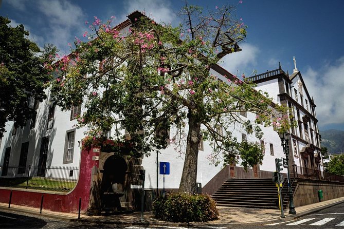 Madeira Grand Experience by Tukxi, Private Tour - Traveler Experiences and Reviews