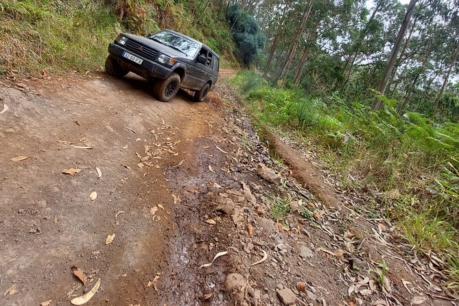 MADEIRA: Jeep Safari to Lava Pools and Seixal Full-Day West - Health and Safety