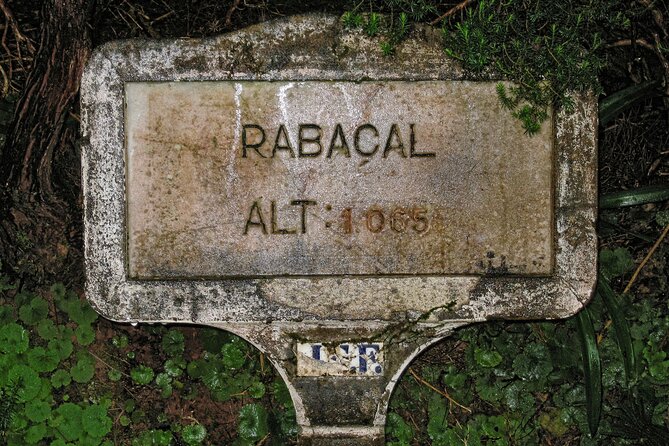 Madeira Levada Walk - Rabacal Lakes and Fountains - The 25 Fountains Trail