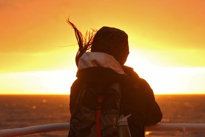 Magical Whales in the Midnight Sun | From Reykjavik - Onboard Multimedia Experience