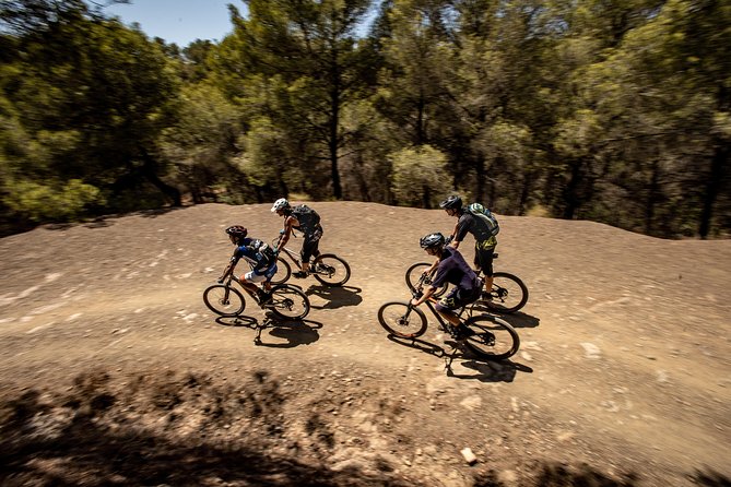 Malaga E-MTB Tour: Botanical Garden, Natural Park and Port of Malaga - Conquering the Gibralfaro Castle