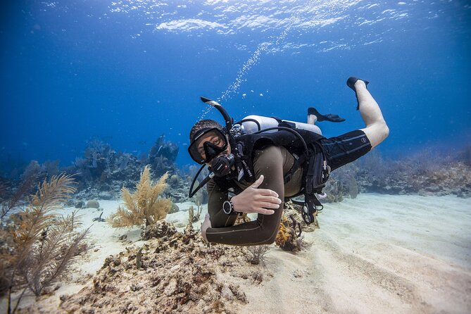 Mallorca PRIVATE Reservation*Scuba Dive + Photo/Video - Pricing and Inclusions