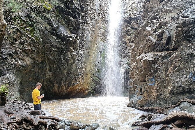 Meet the Locals of Troodos Mountains - Discovering the Culture of Platres