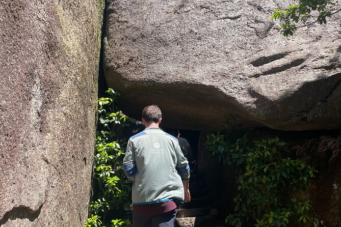 Miyajima Half-Day Private Experience With a Local - Health and Safety Guidelines