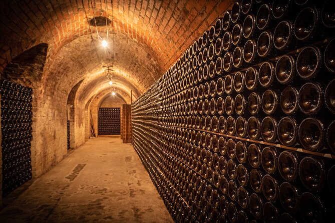 Moet Et Chandon Tasting and Fun Private Tour in Champagne - Accessibility Features