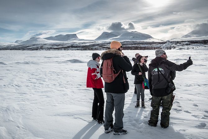 Morning Hike in Abisko National Park - Wildlife Sightings