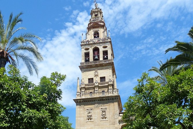 Mosque-Cathedral Cordoba Guided Tour With Priority Access - Accessibility and Additional Info