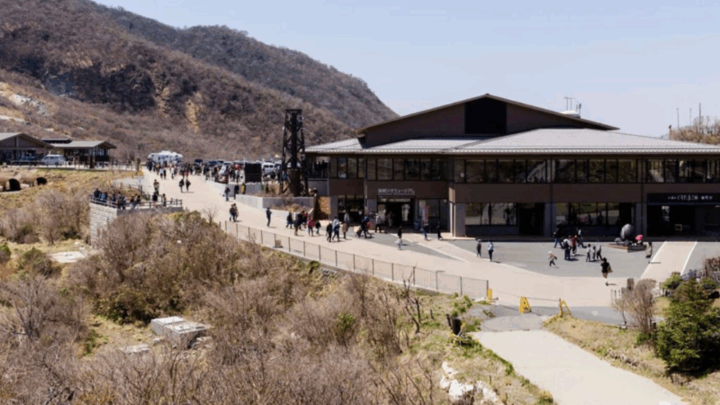 Mount Fuji and Hakone Customized Private Tour - Return to Shinjuku