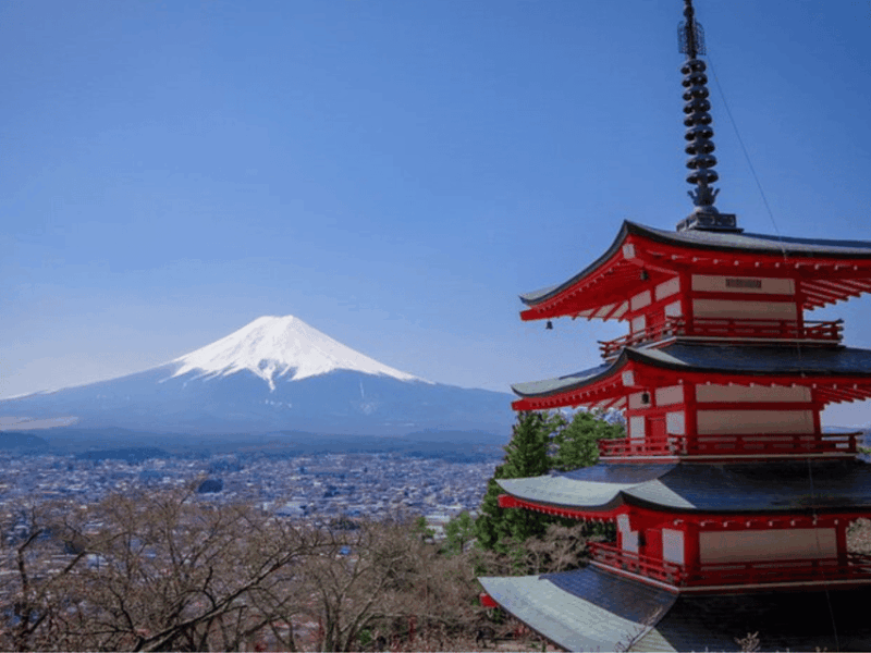 Mount Fuji and Hakone Full Day Private Tour With English Gui - Transportation and Accessibility