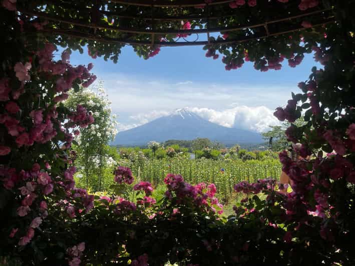 Mount Fuji Day Trip: Adventure Around Lake Kawaguchiko - Transportation