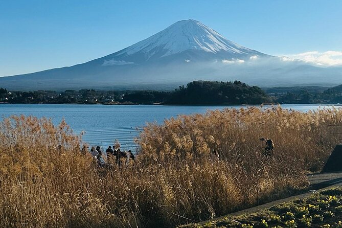 Mount Fuji Full Day Private Tour - Physical Requirements