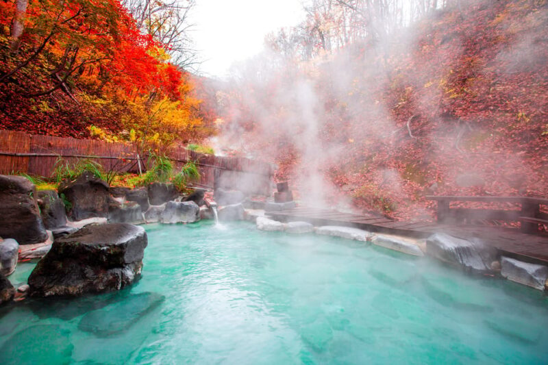 Mount Fuji - Hakone & Onsen Full Day Private Tour - Hakone Shrine